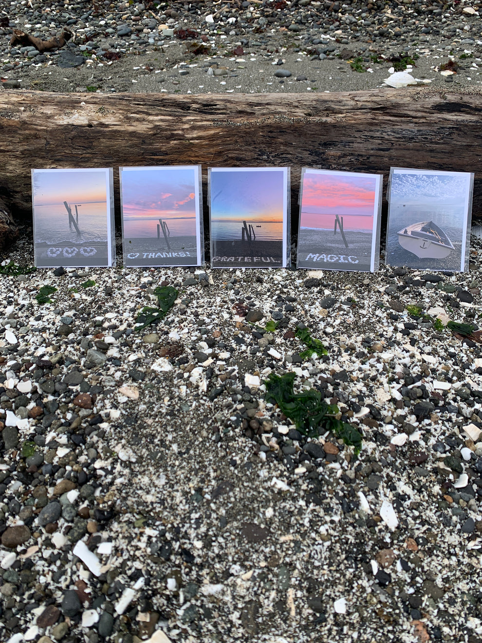 Shell Greeting Card 5-pack – Shellhouse Greetings